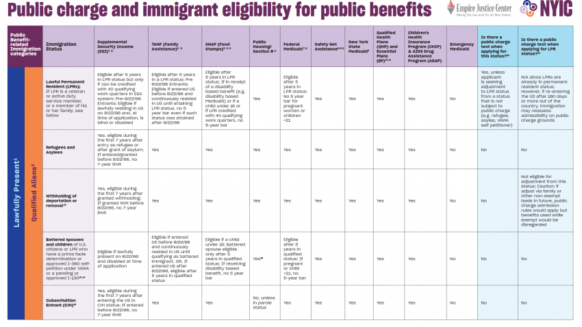 US Immigration Public Charge Chart Explaining Status and Benefits ...